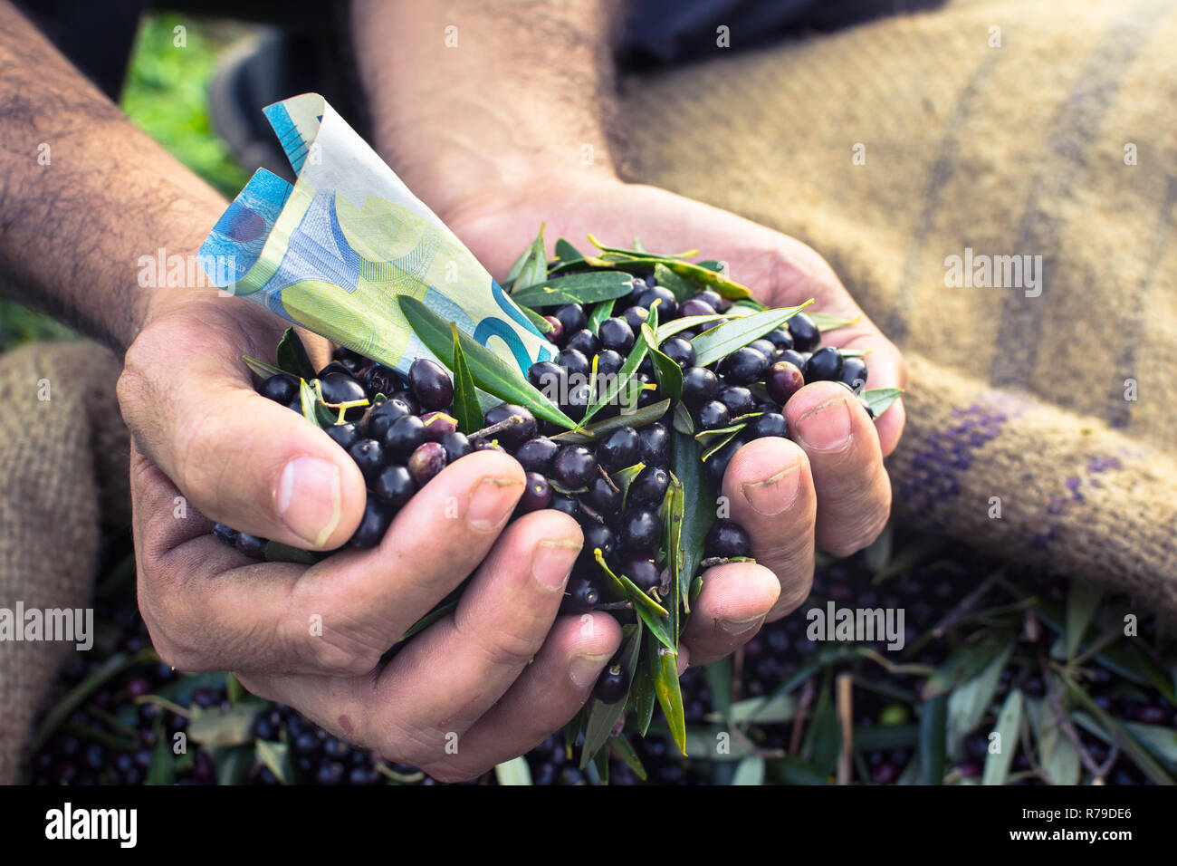 Money sacks hi-res stock photography and images - Alamy