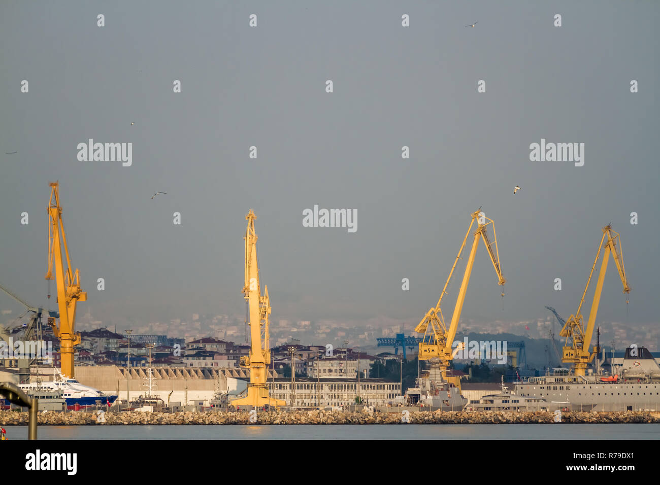 ISTANBUL, TURKEY - JUN 06, 2012: Huge cranes in Pendik shipyard in ...