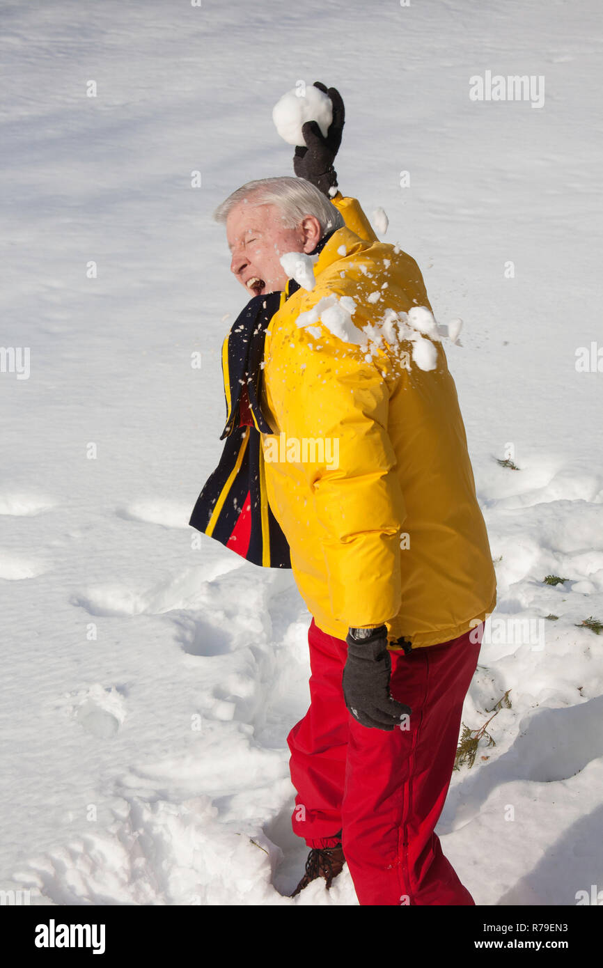 Senior man in snowball fight, USA Stock Photo - Alamy