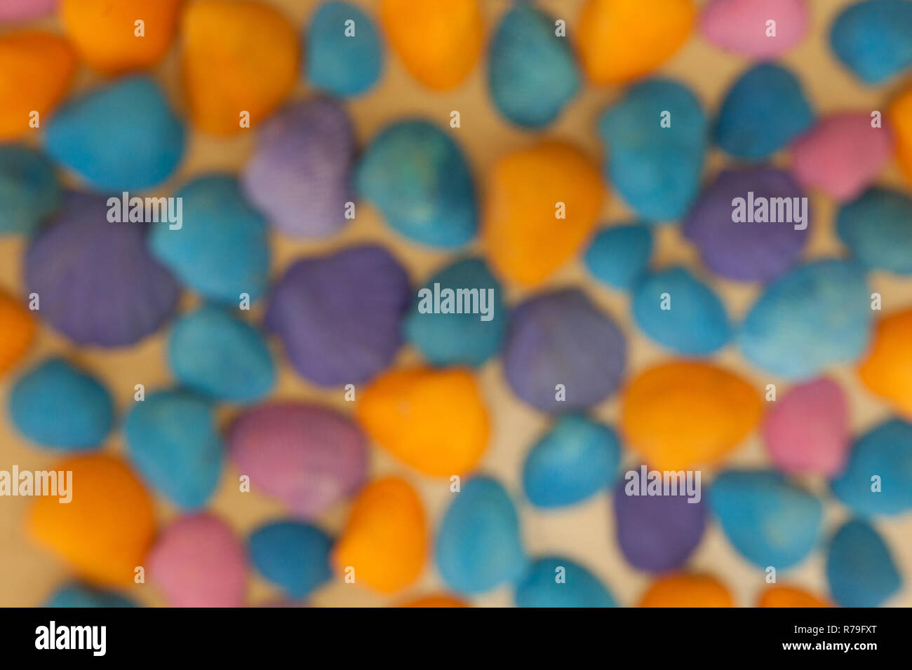 Closeup of colorful sea shells in different shapes Stock Photo - Alamy