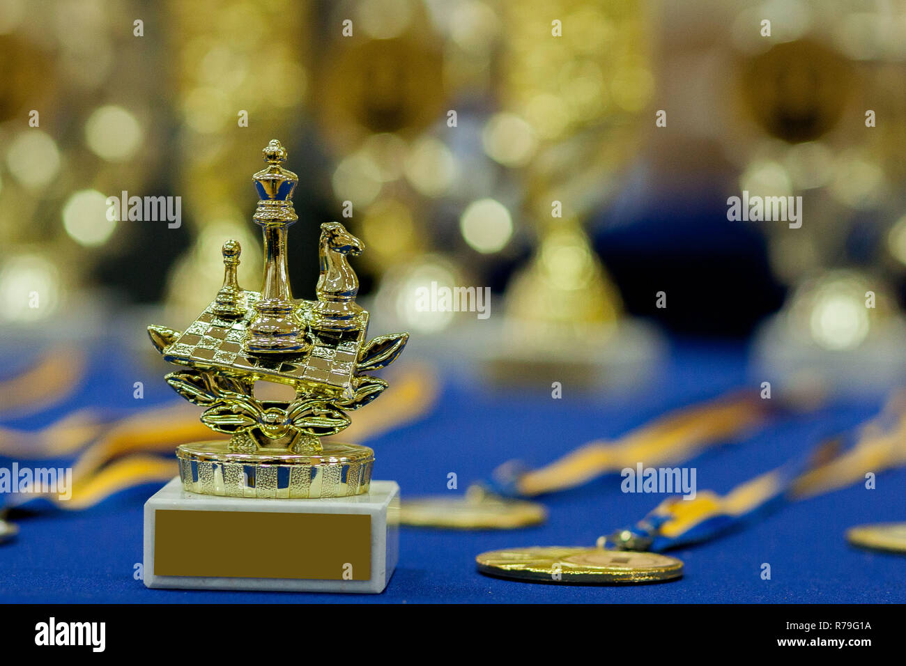 Gold cup winner. Chess.. Emotions after the game of chess Stock Photo ...