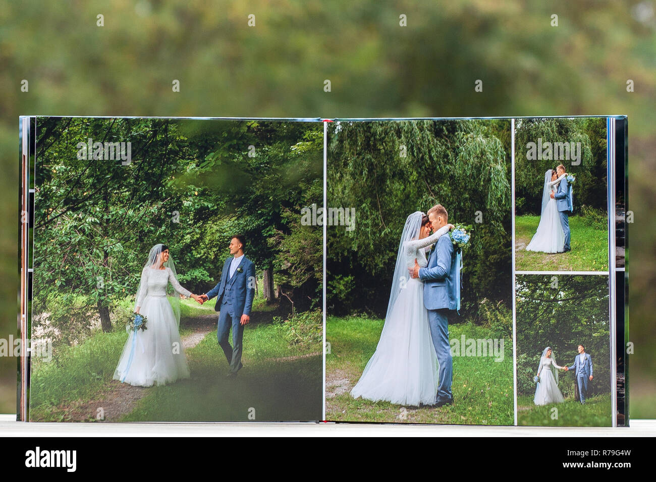 Pages of wedding photobook or wedding album on green background Stock ...