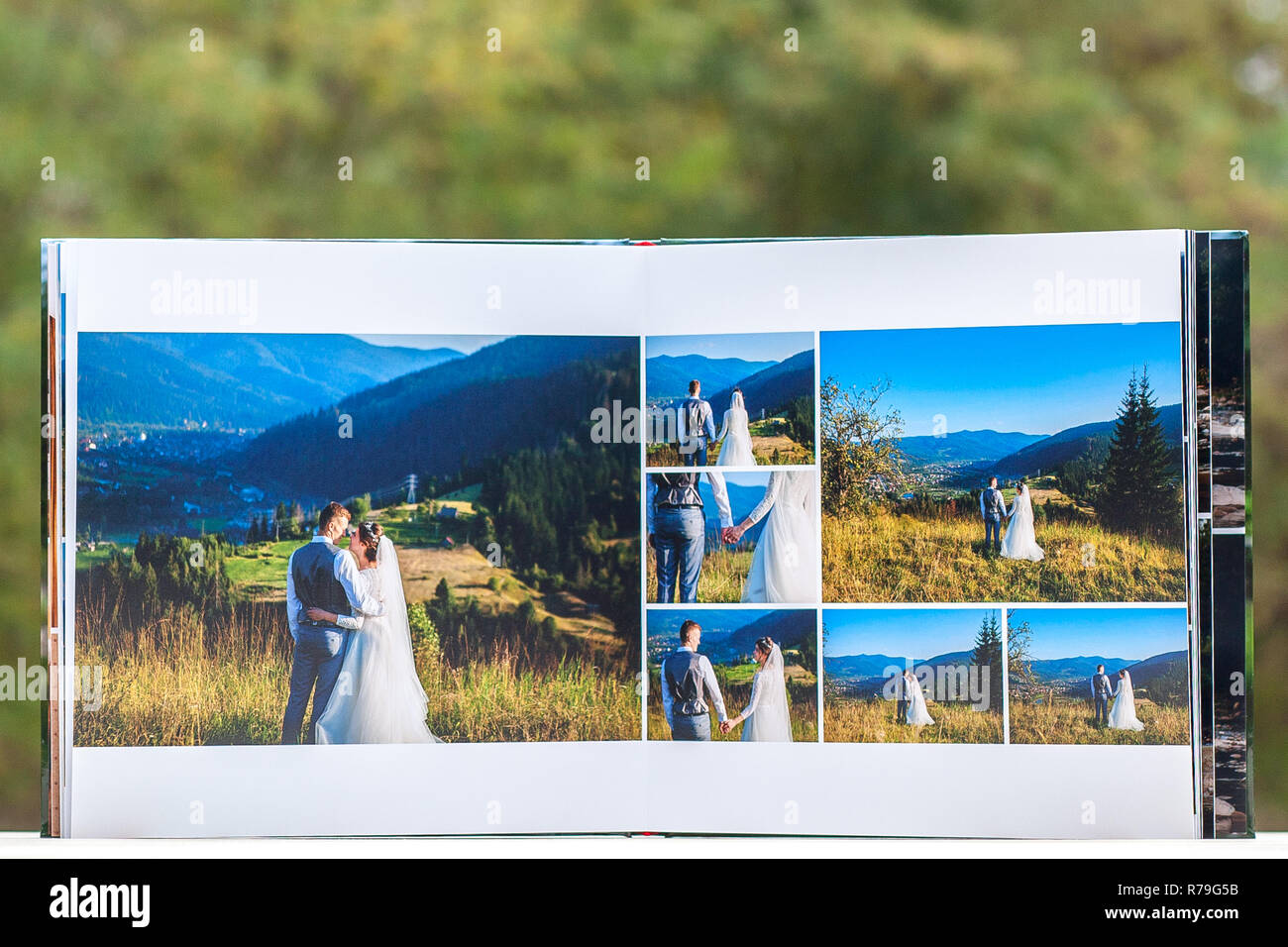 Pages of wedding photobook or wedding album on green background Stock ...