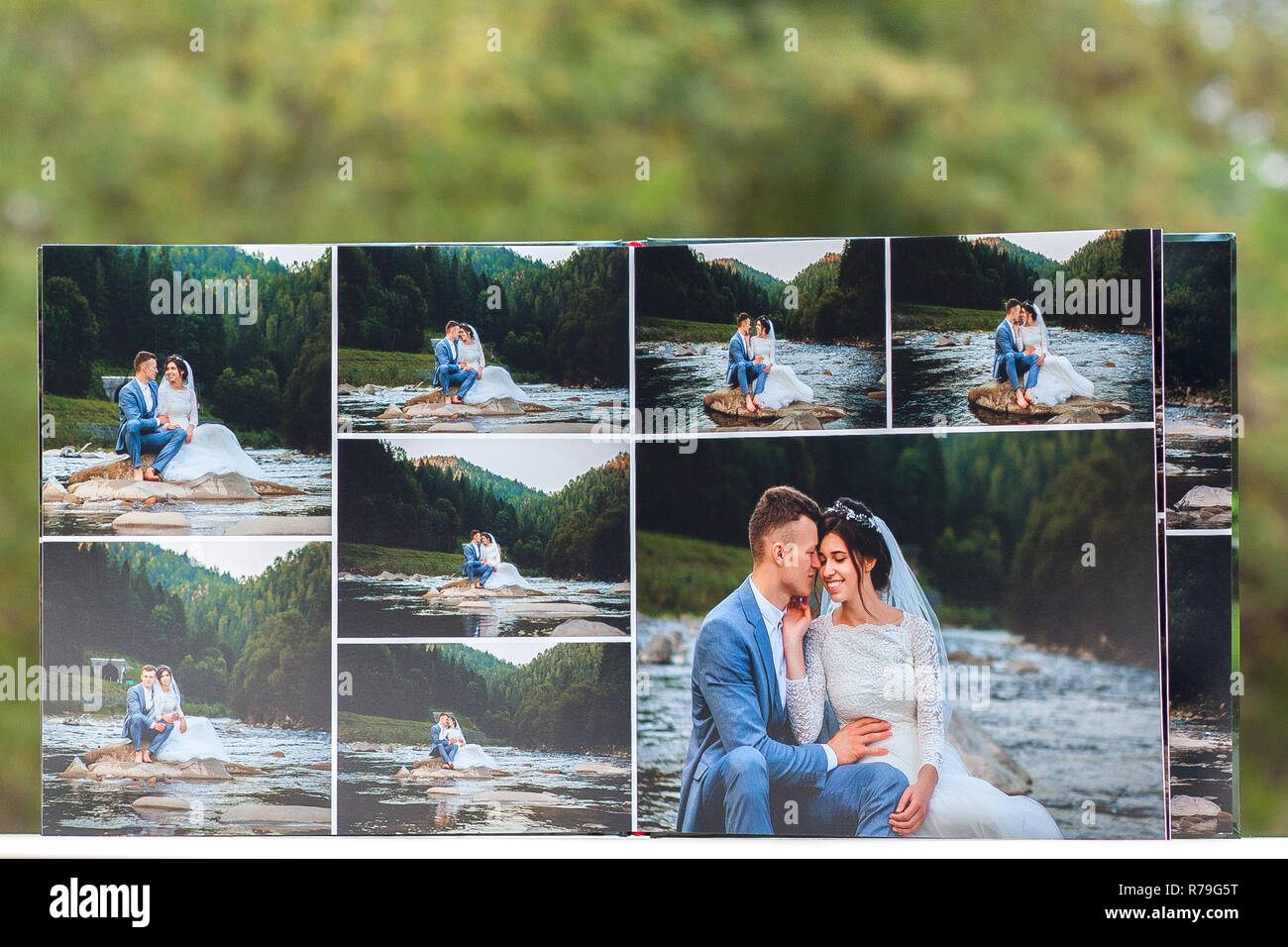 Pages of wedding photobook or wedding album on green background Stock ...