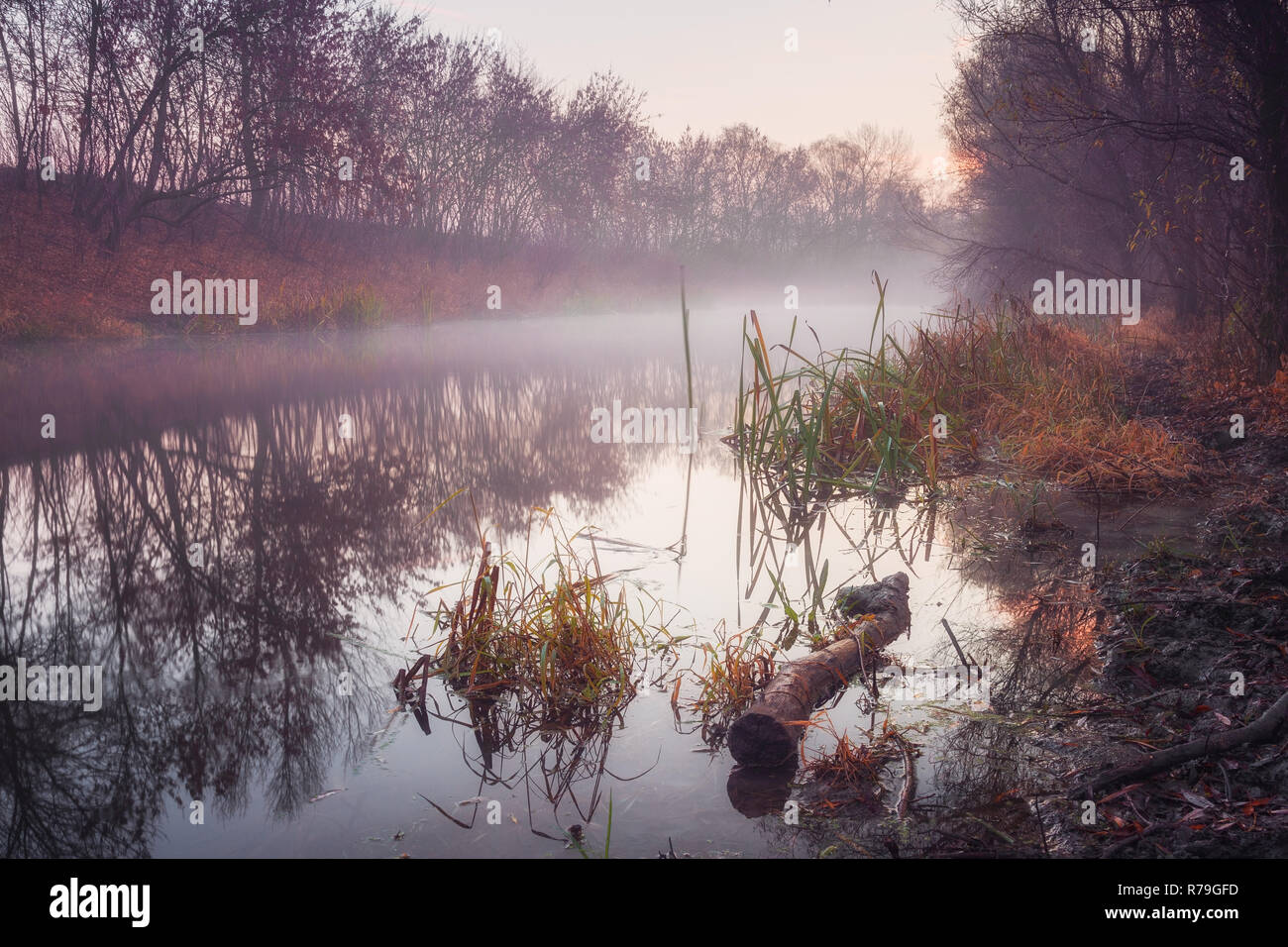 Beautiful river on early morning with thin layer of mist floating on it ...