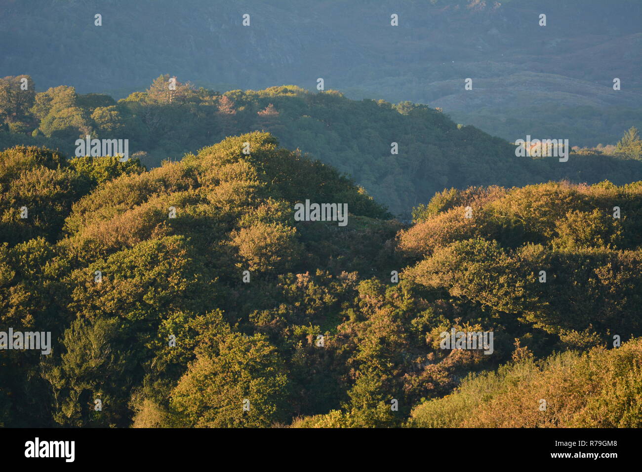 Hydef cymru hi-res stock photography and images - Alamy