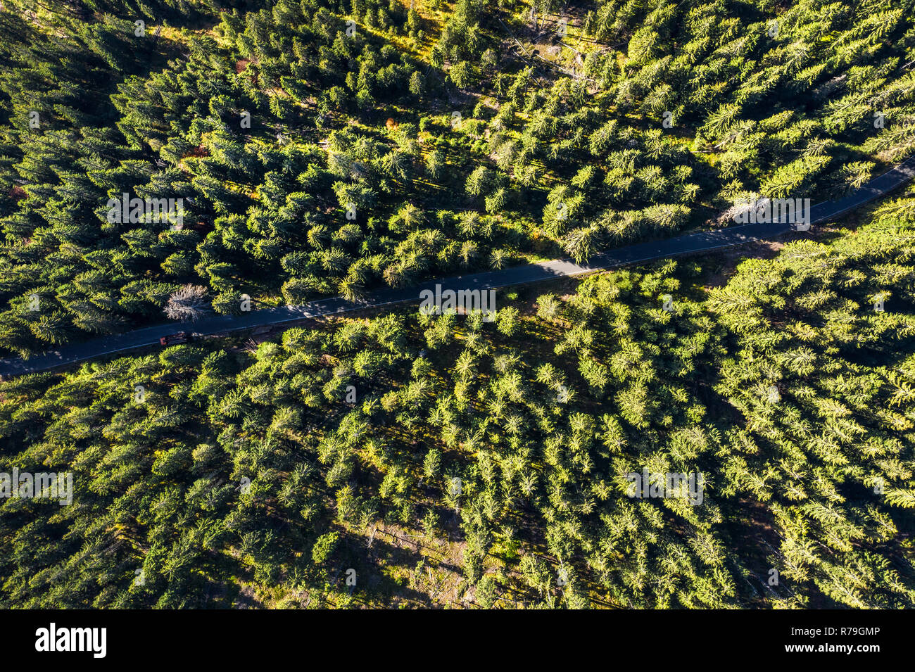 Aerial canopy shot hi-res stock photography and images - Alamy