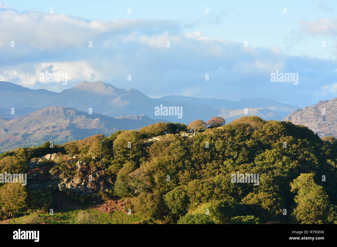 Hydef cymru hi-res stock photography and images - Alamy