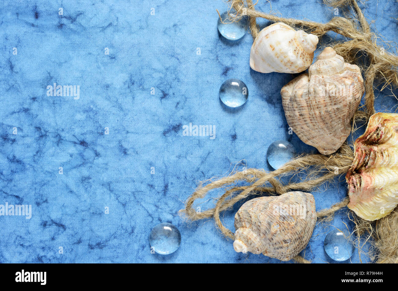 Blue marine background with shells and a rope Stock Photo - Alamy