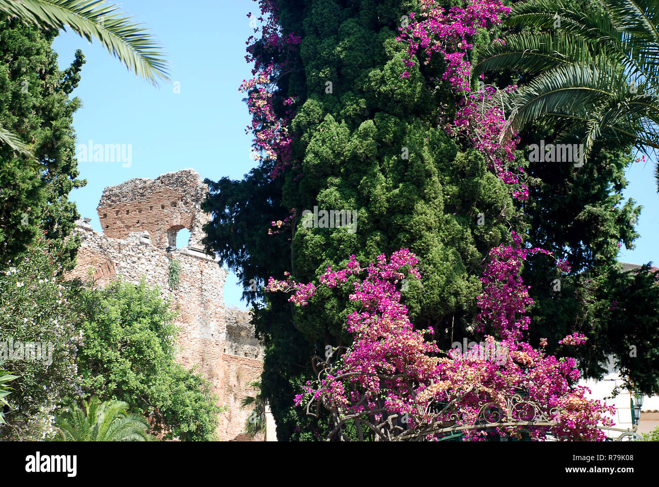 Flower scene at the entrance of the theater of Taormina, Sicily, Italy ...
