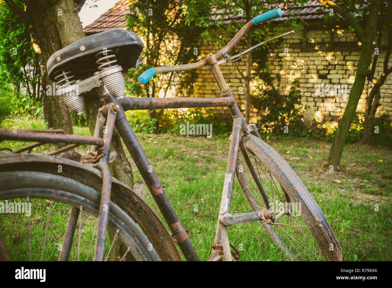 Rusty old bicycle standing beside the tree in the backyard Stock Photo ...