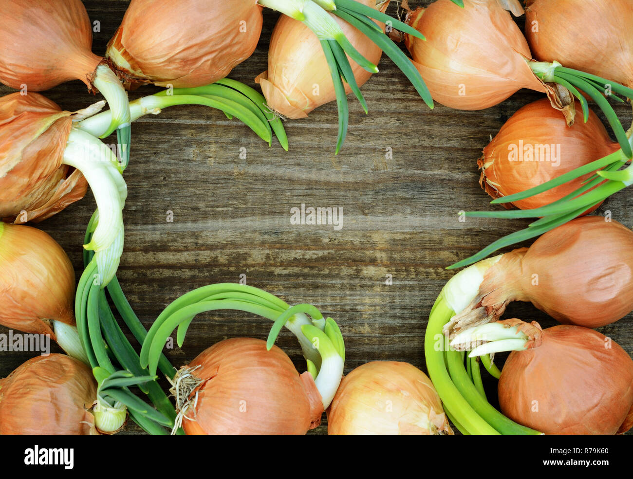Onion frame on old gray wooden background Stock Photo - Alamy