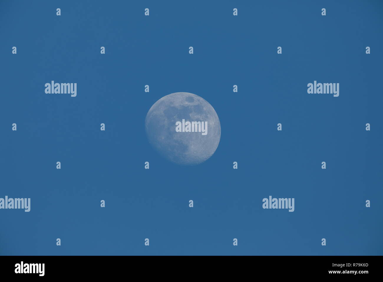 Night nighttime moon moonlight firmament hi-res stock photography and ...