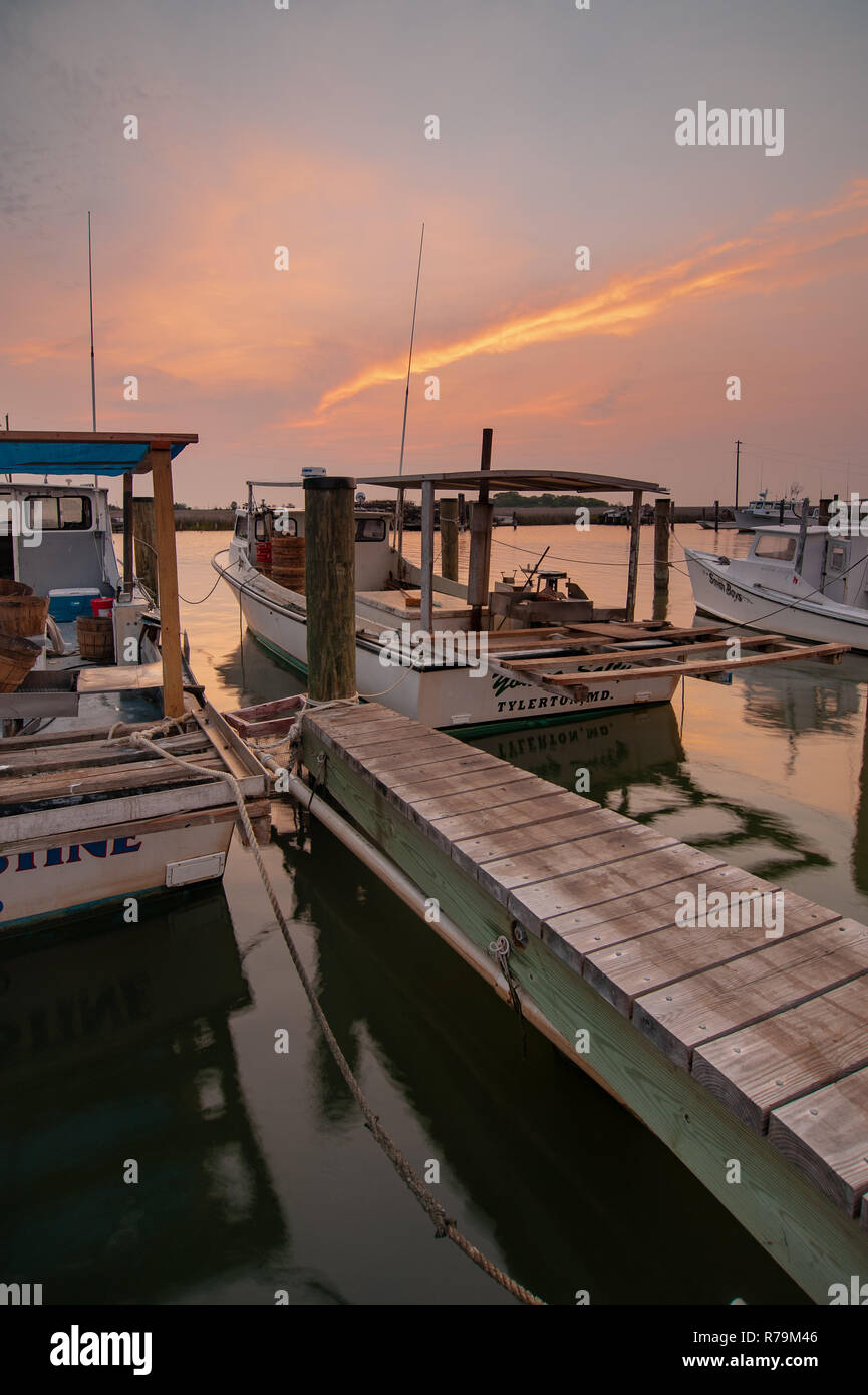 Smith Island marina in the Chesapeake Bay, Maryland Stock Photo - Alamy