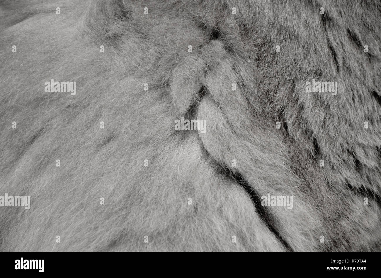 Grey gray long coat hi-res stock photography and images - Alamy
