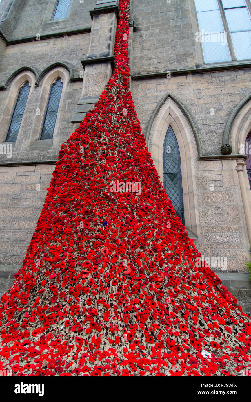Knitted and crocheted poppy cascade on the Lawson Memorial Church ...