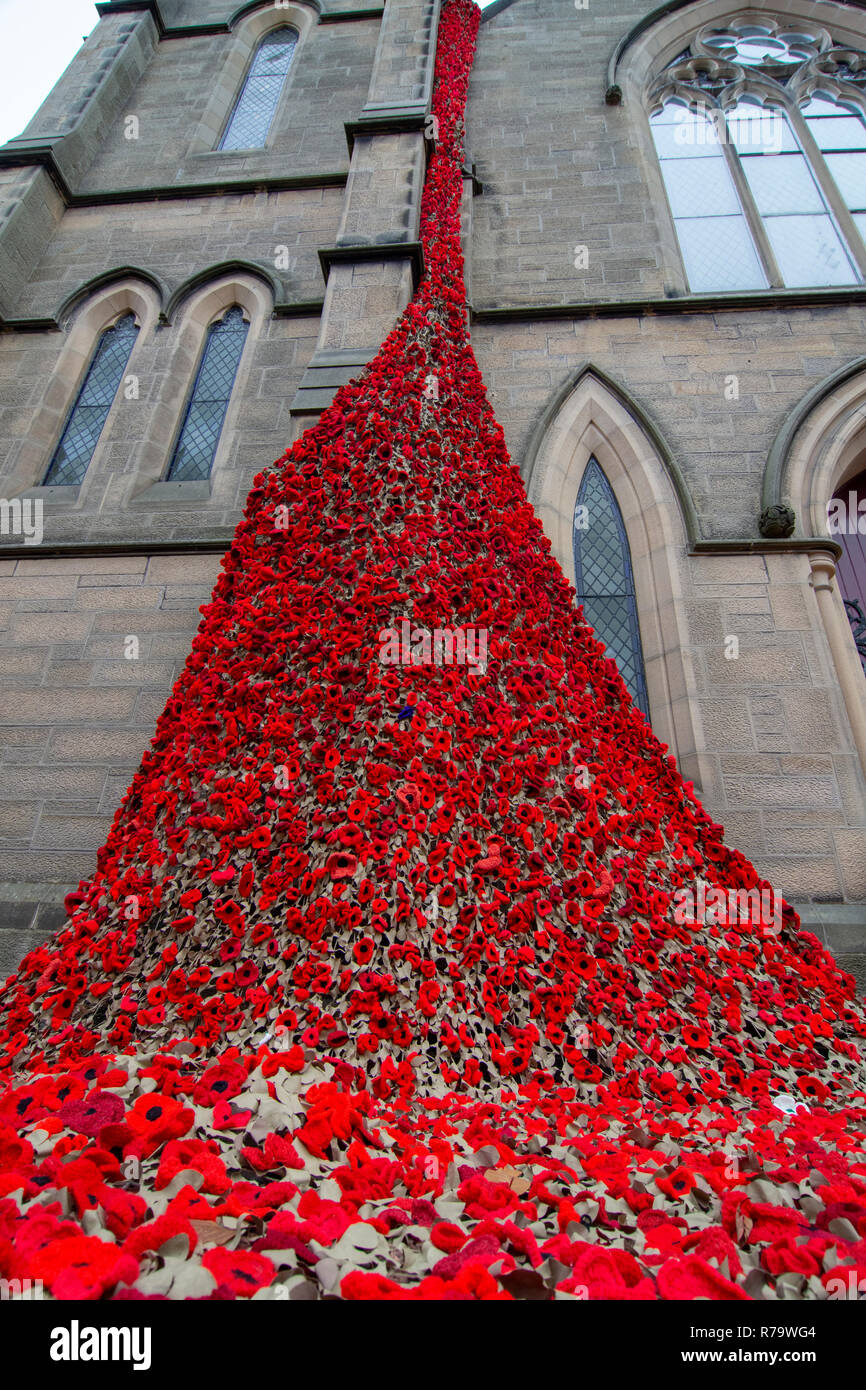 Knitted and crocheted poppy cascade on the Lawson Memorial Church ...