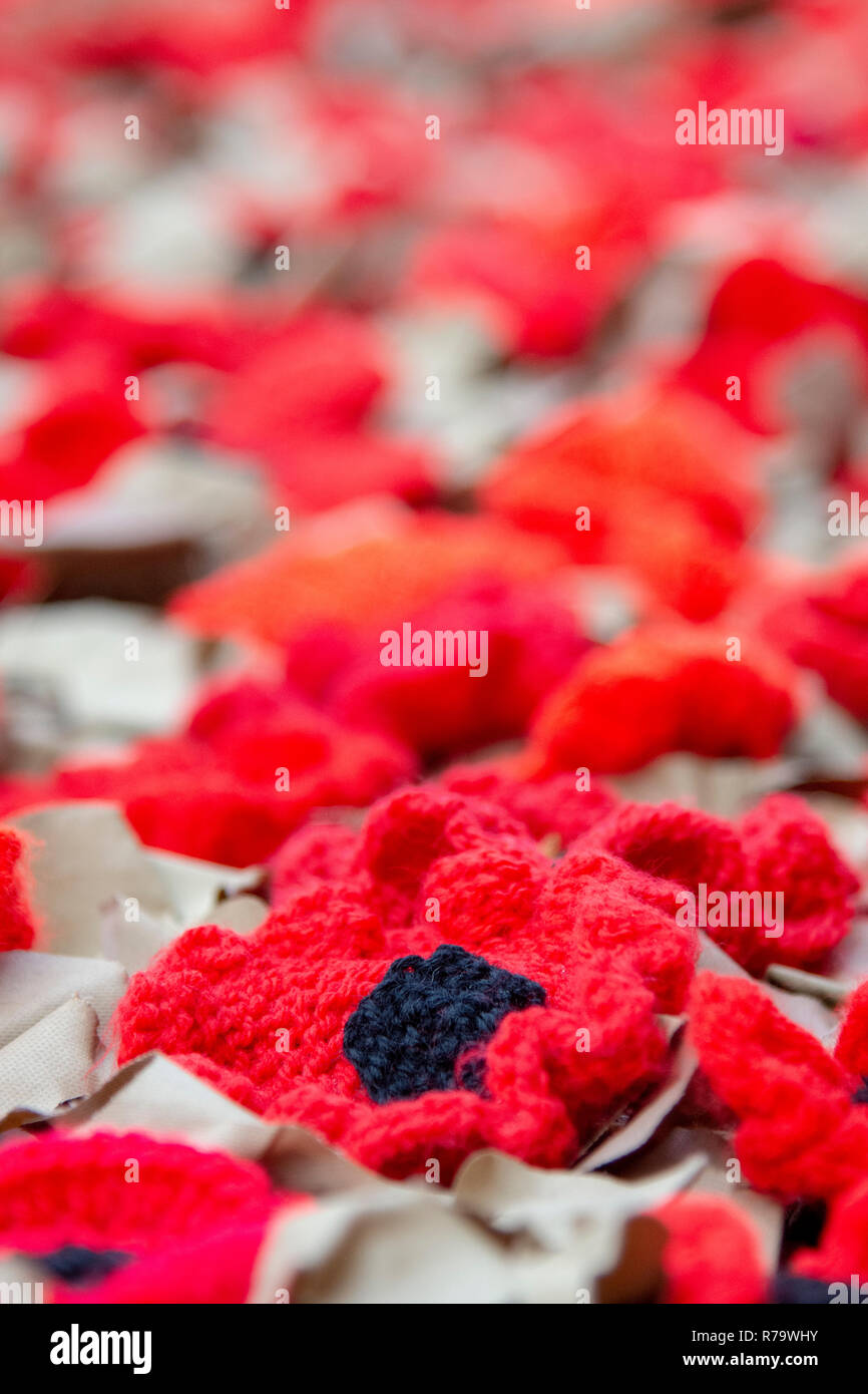 Knitted and crocheted poppy cascade on the Lawson Memorial Church ...