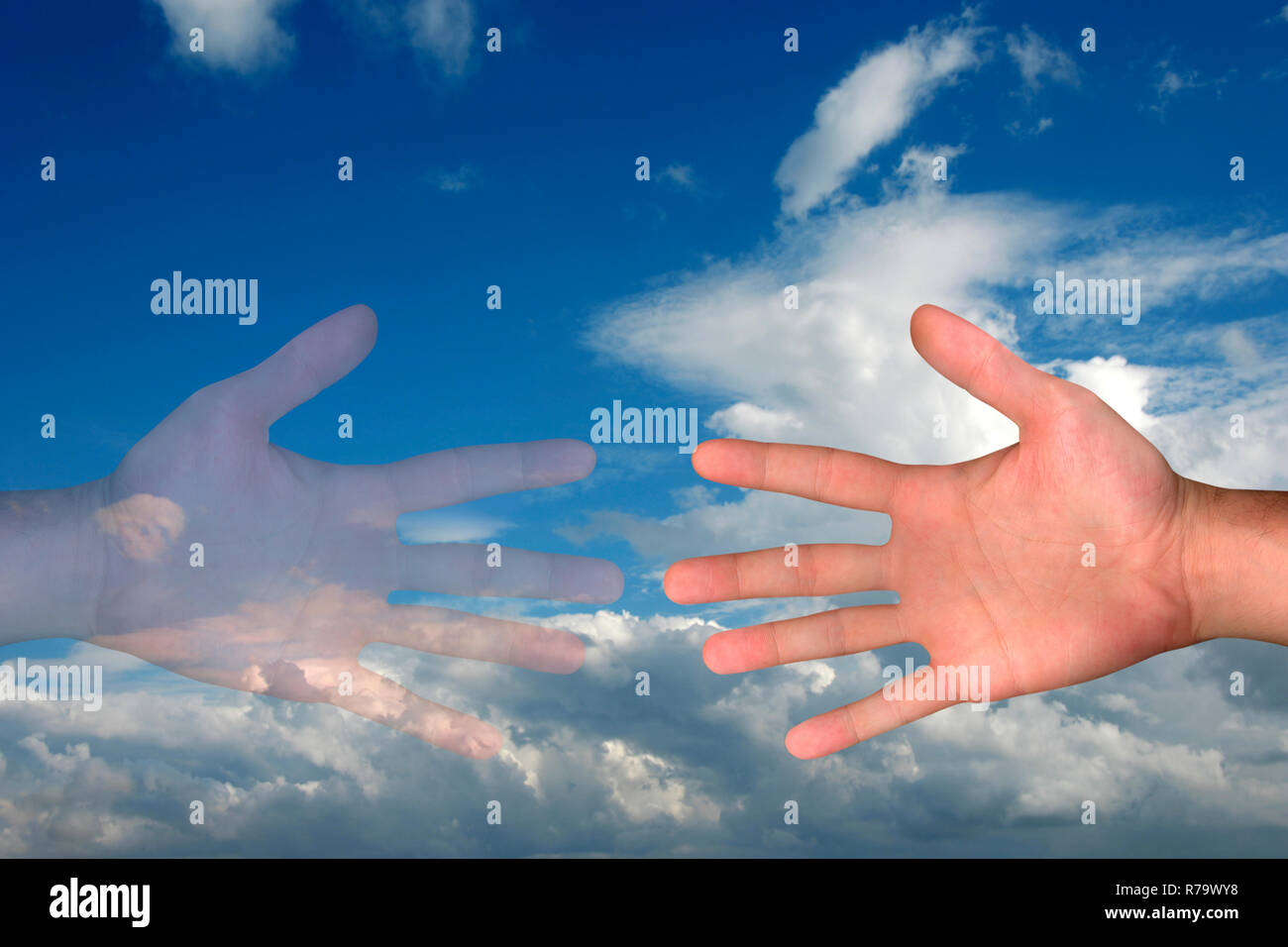 Hand anatomy hi hi-res stock photography and images - Alamy