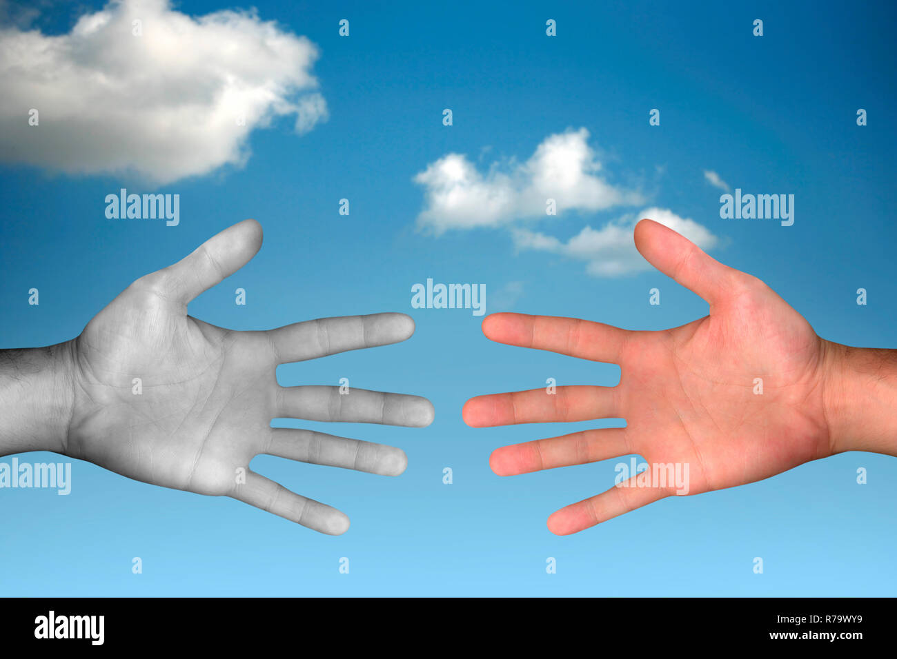 Hand anatomy hi hi-res stock photography and images - Alamy