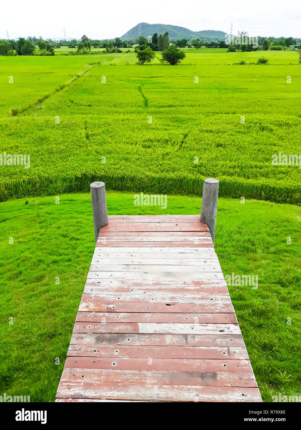 Nice wooden bridge in hi-res stock photography and images - Alamy