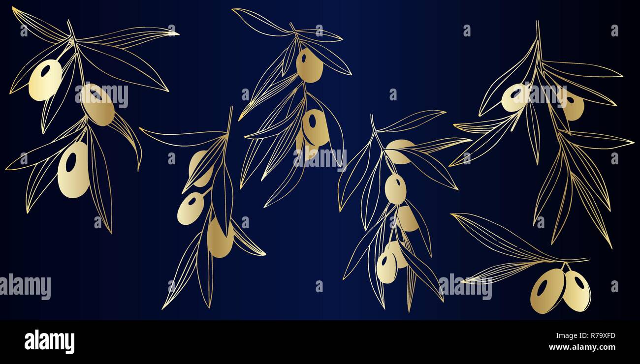 Vector Golden olive branch. Plant botanical foliage. Golden engraved ...