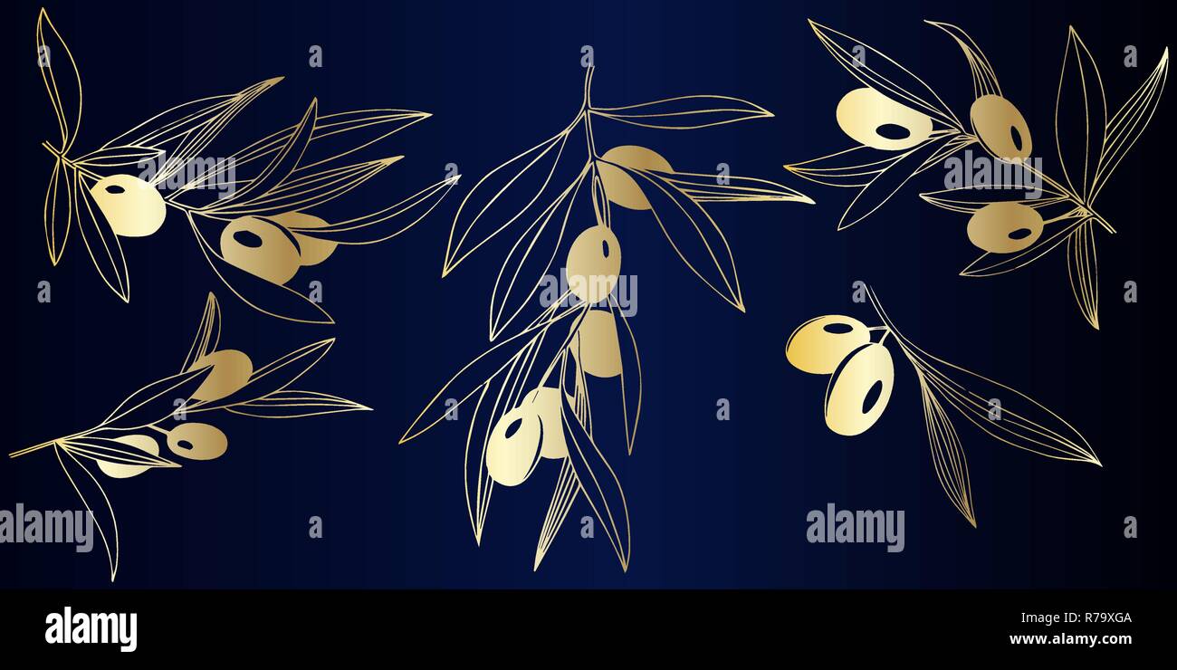 Vector Golden olive branch. Plant botanical foliage. Golden engraved ...