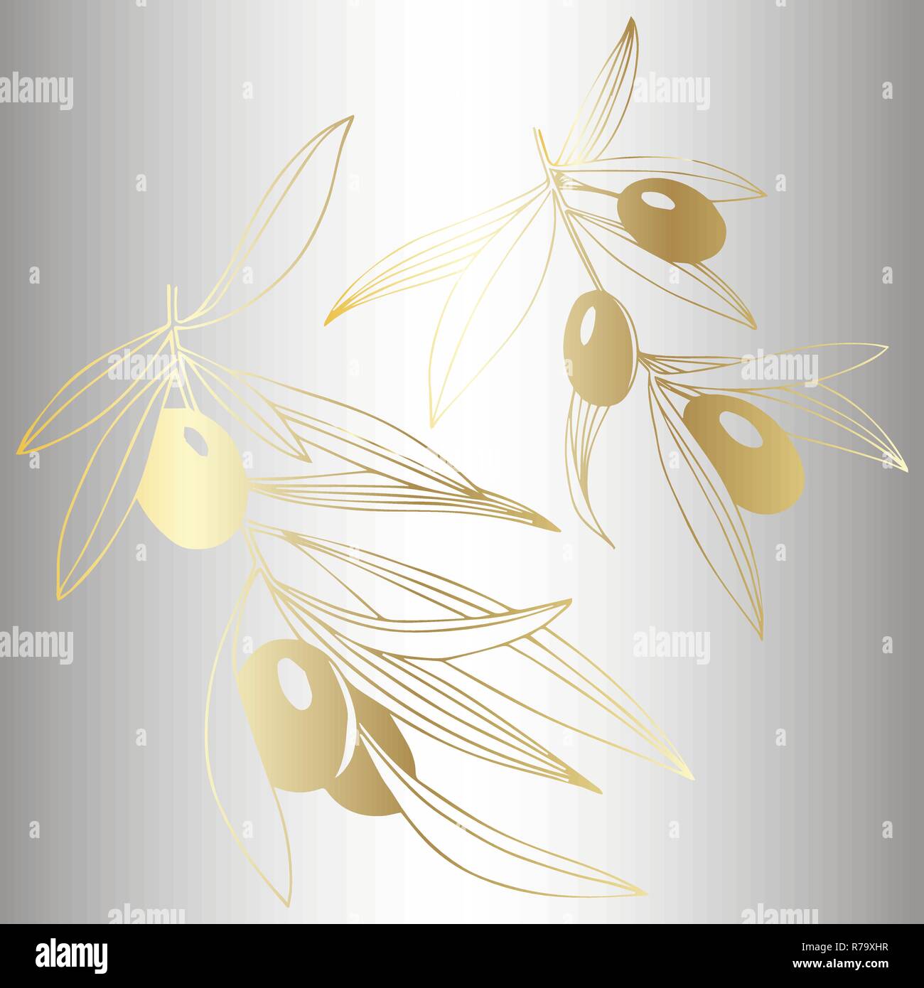 Vector Golden olive branch. Plant botanical foliage. Golden engraved ...