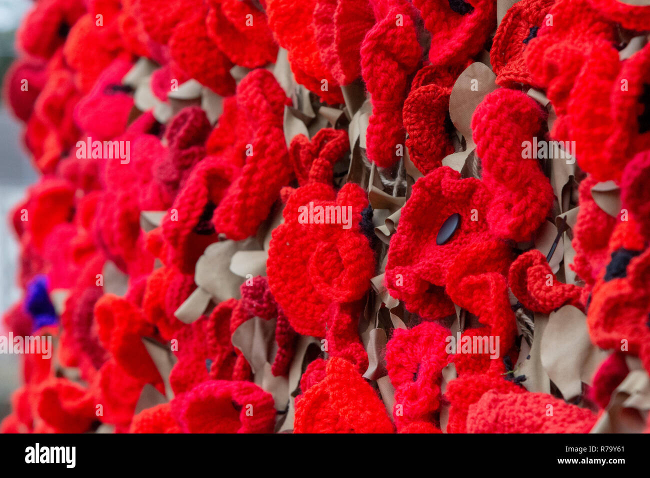 Knitted and crocheted poppy cascade on the Lawson Memorial Church ...