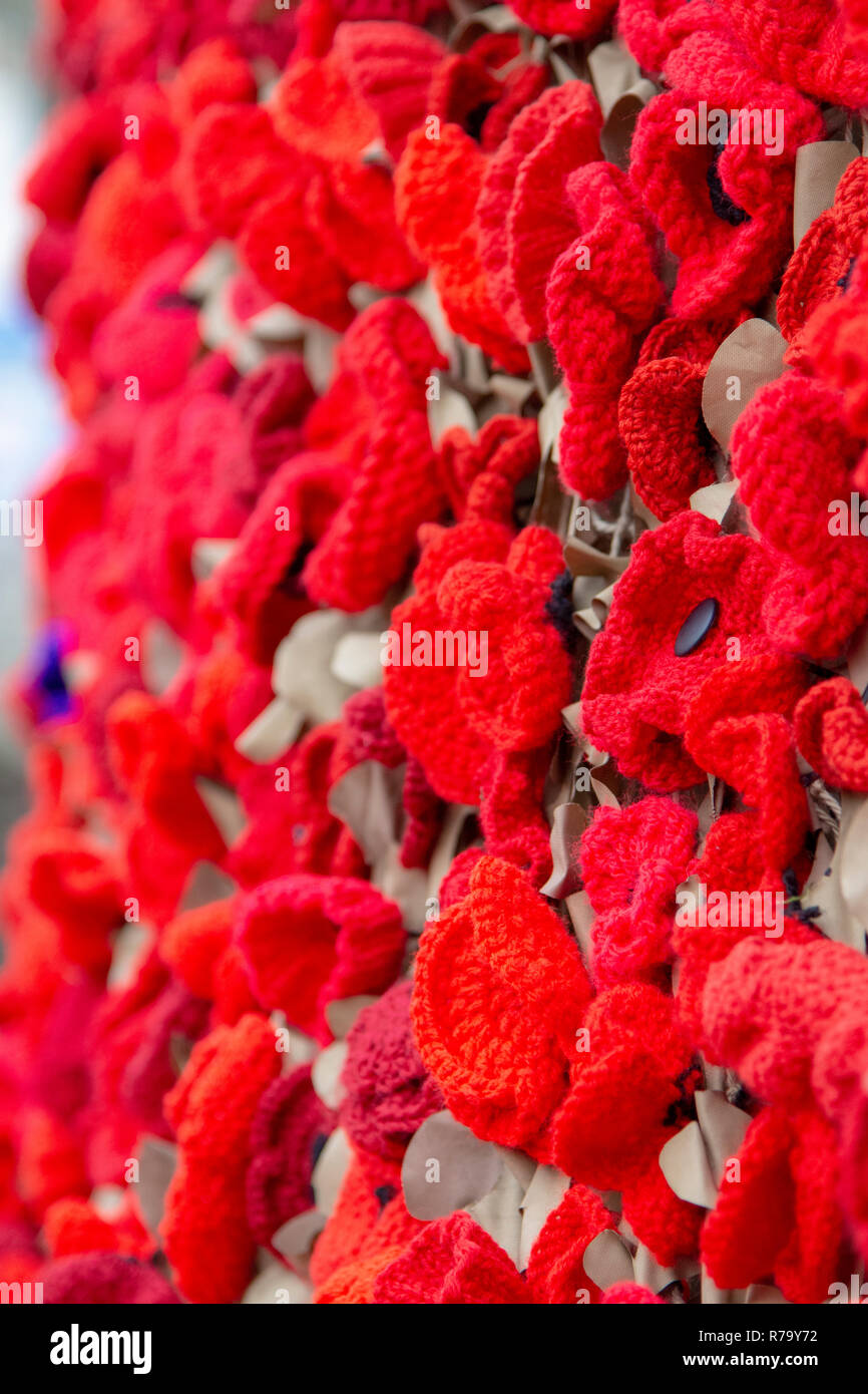 Knitted and crocheted poppy cascade on the Lawson Memorial Church ...