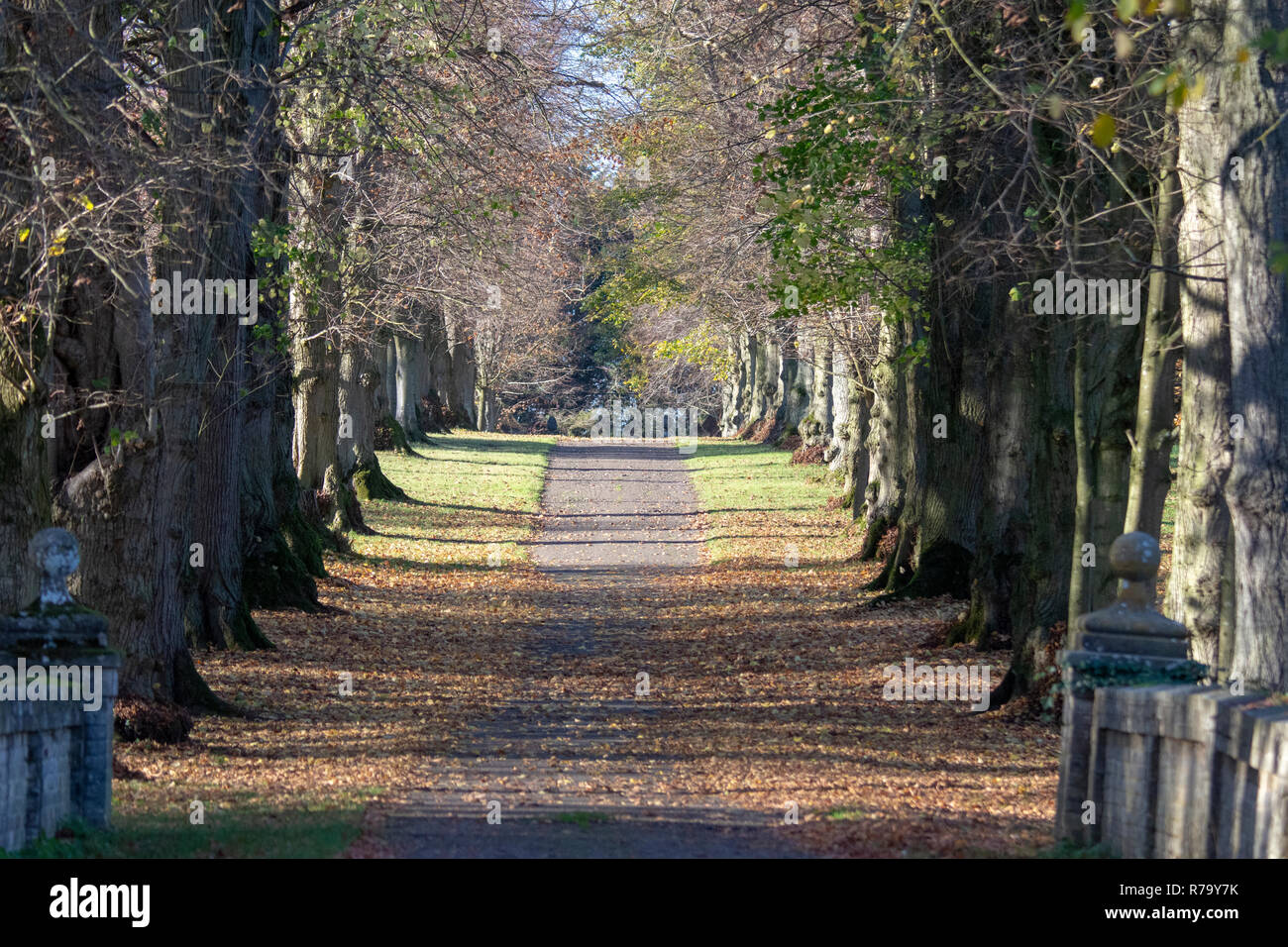 Coldham hall hi-res stock photography and images - Alamy