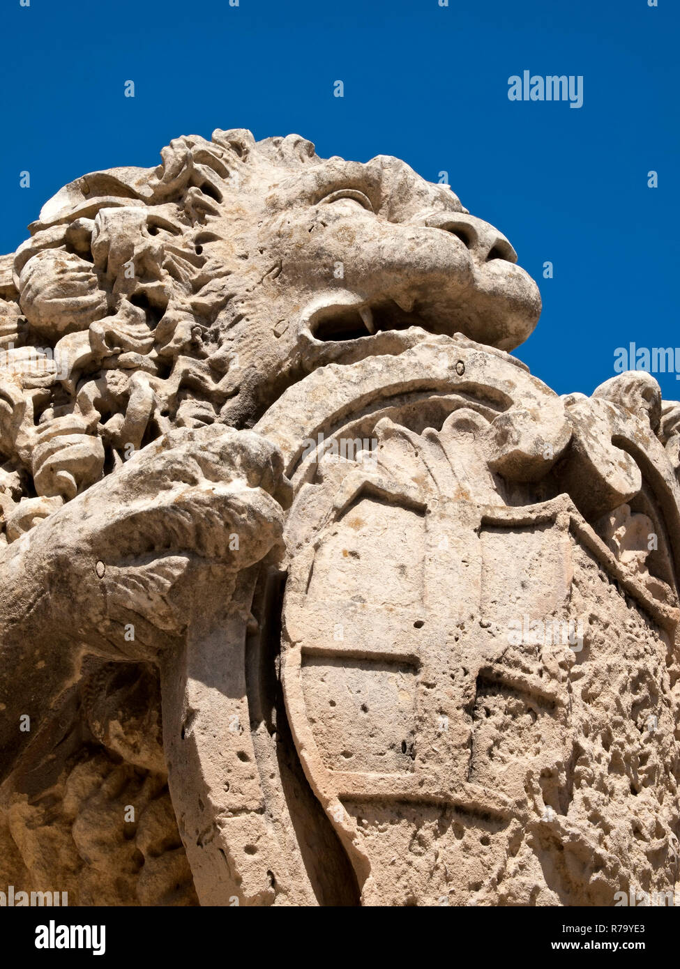 Guardian shield hi-res stock photography and images - Alamy