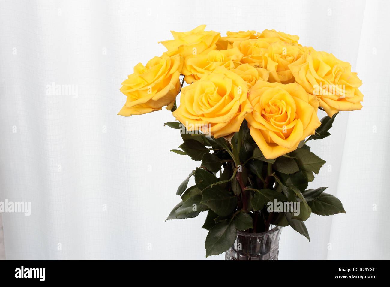 Vase with dozen flowers hi-res stock photography and images - Alamy
