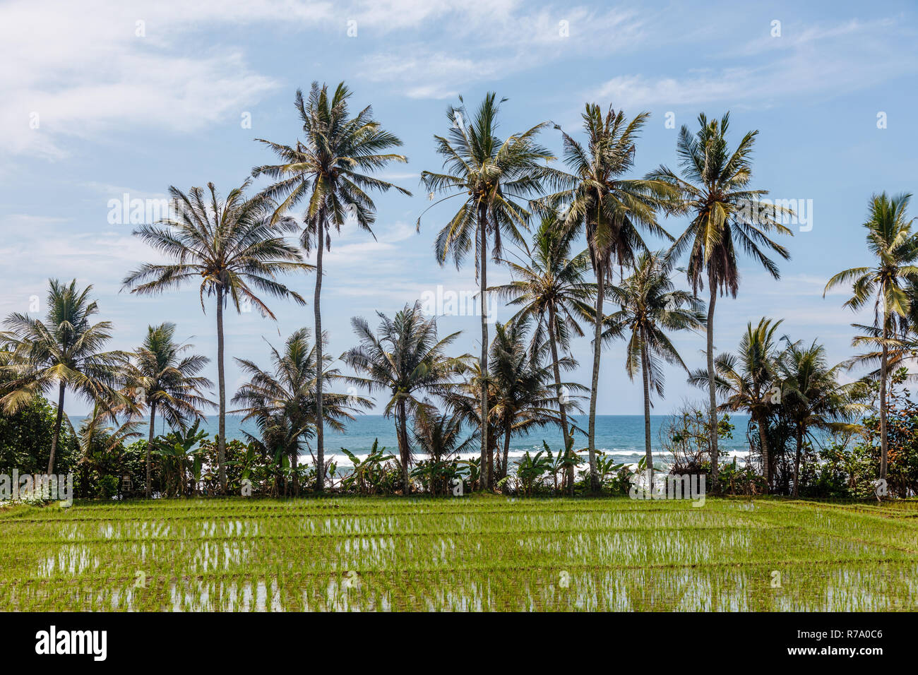 Tabanan bali hi-res stock photography and images - Alamy