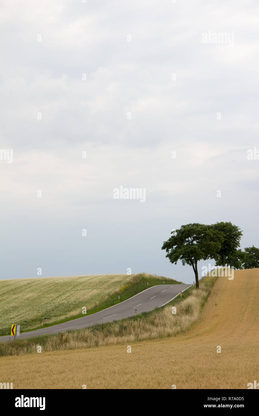 road in hilly landscape with trees on the horizon at cloudy sky in ...