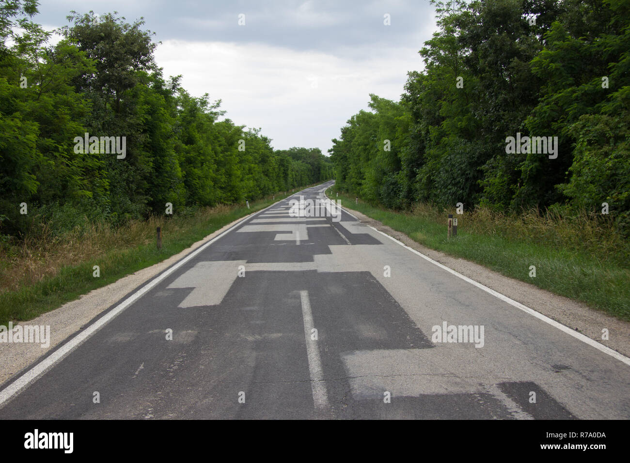 empty highway with repaired asphalt surfaces through shrubbery avenue ...