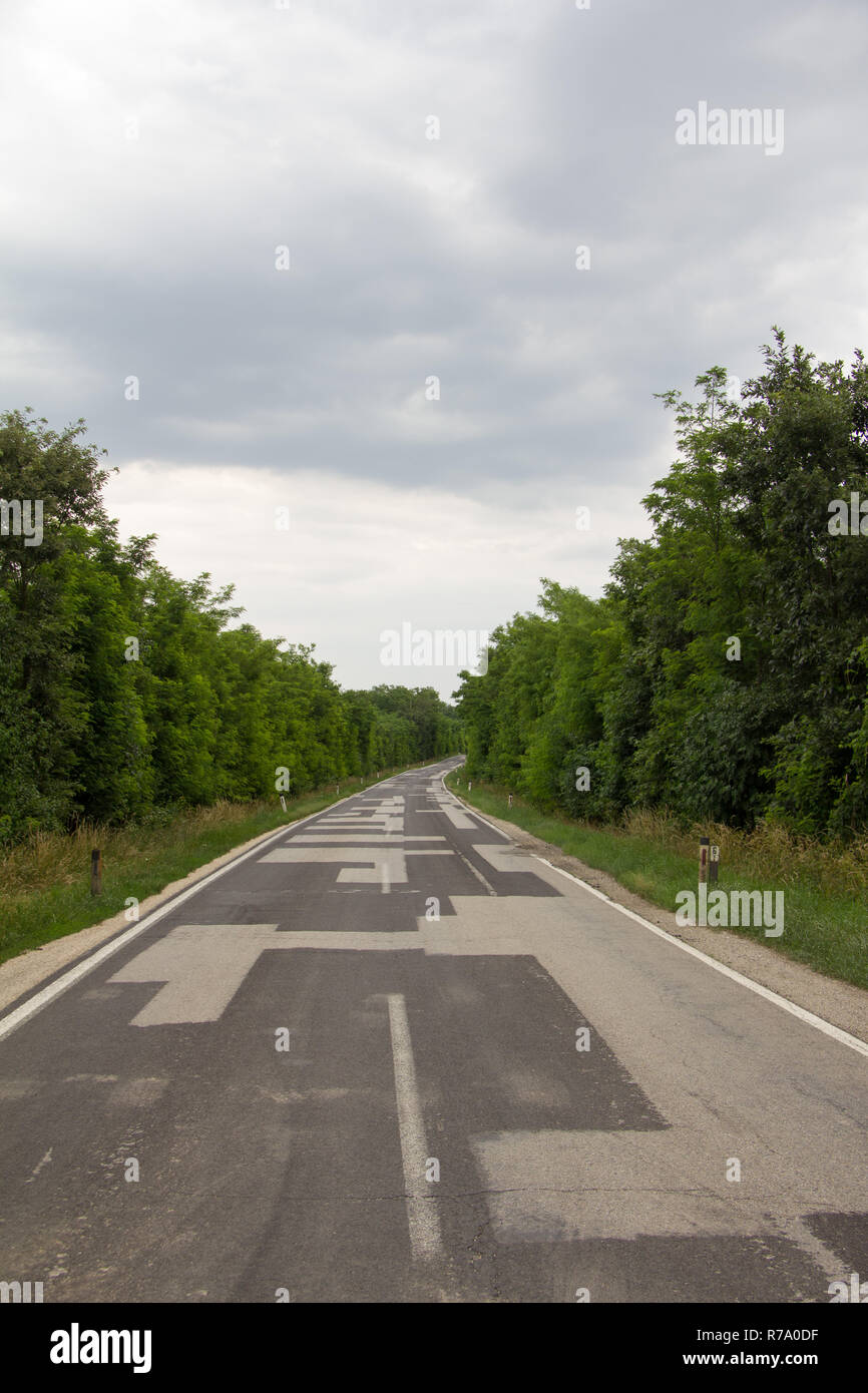 empty highway with repaired asphalt surfaces through shrubbery avenue ...