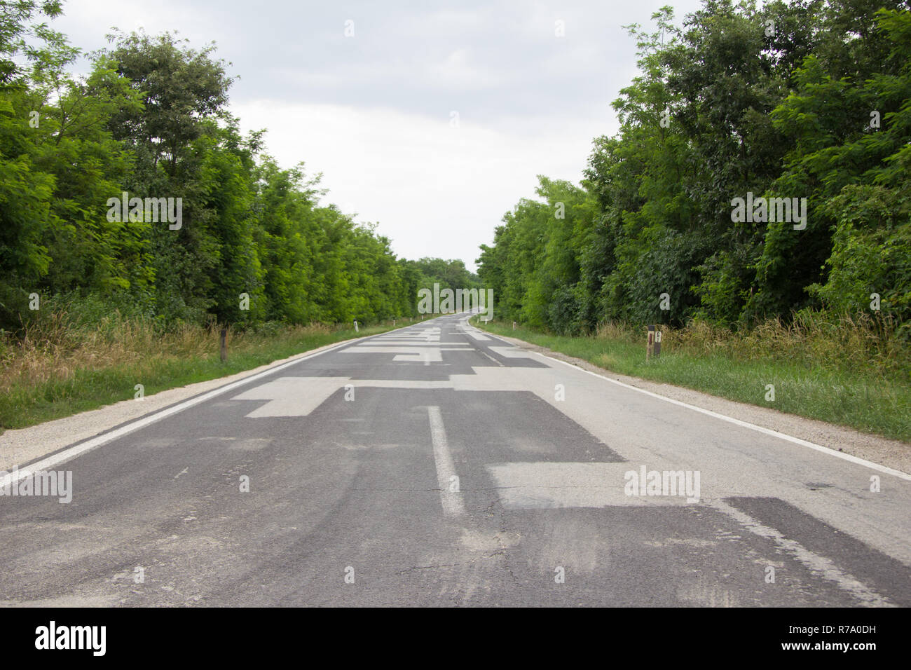 empty highway with repaired asphalt surfaces through shrubbery avenue ...