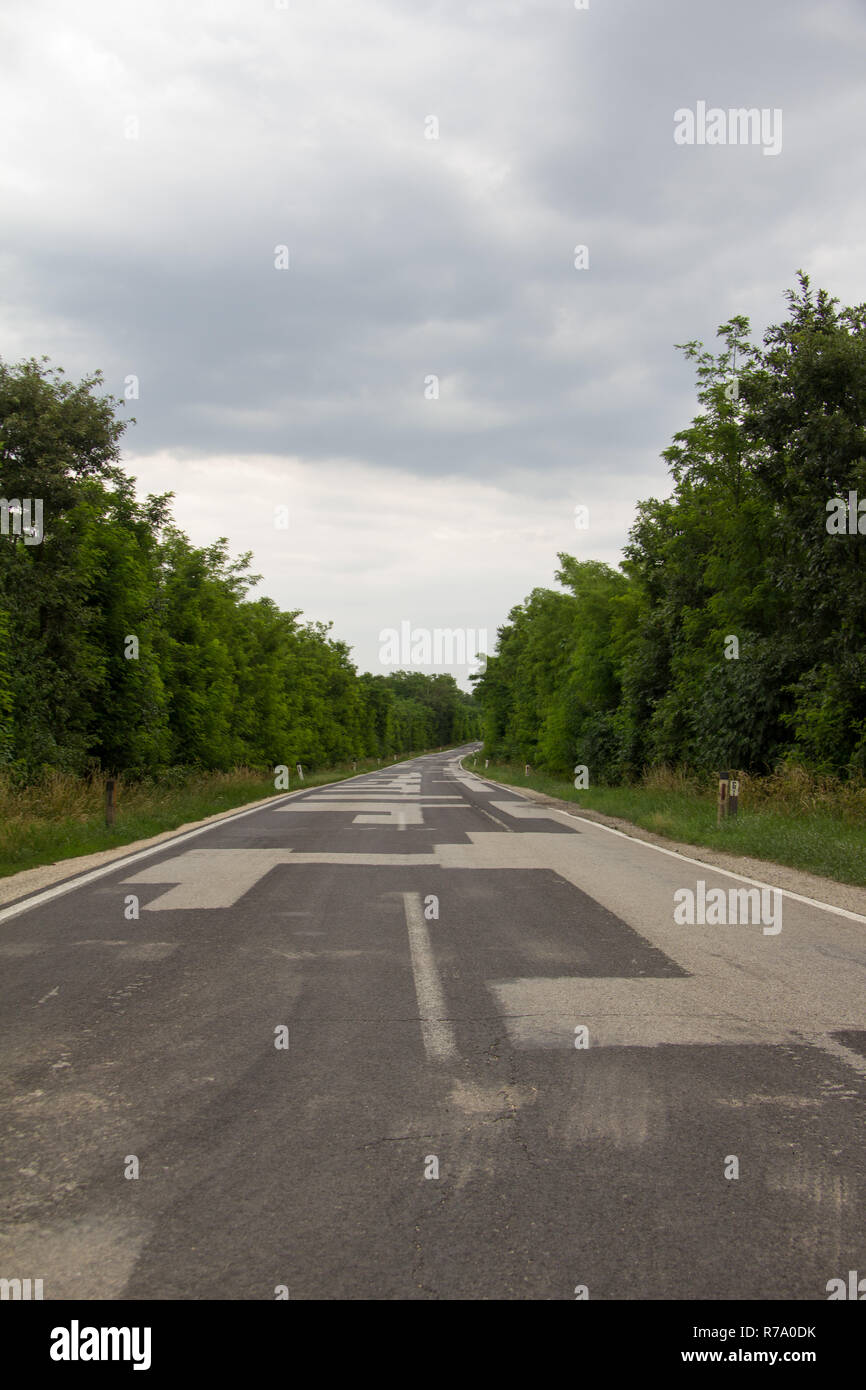 empty highway with repaired asphalt surfaces through shrubbery avenue ...