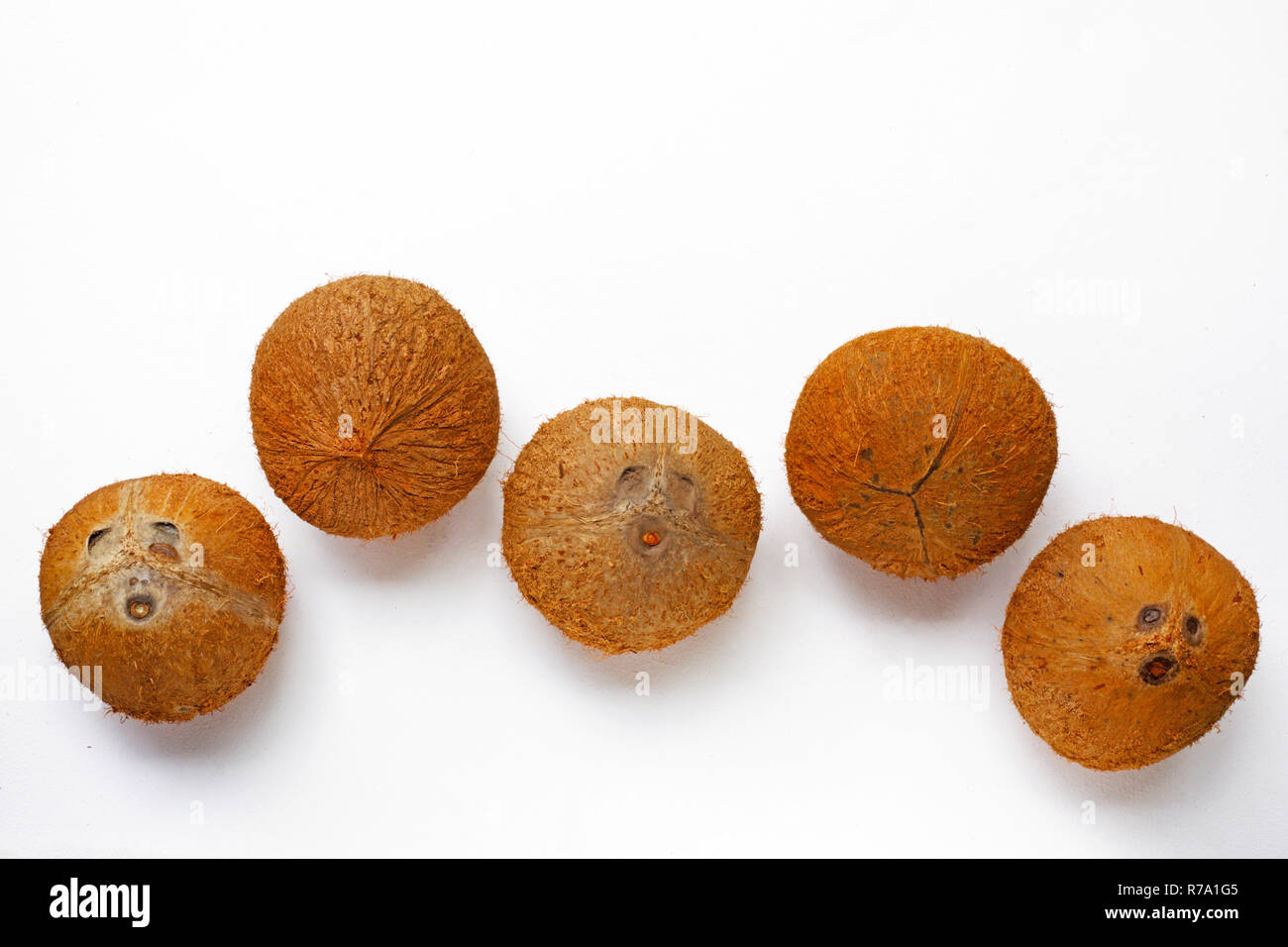 Coconuts isolated on the white background Stock Photo - Alamy