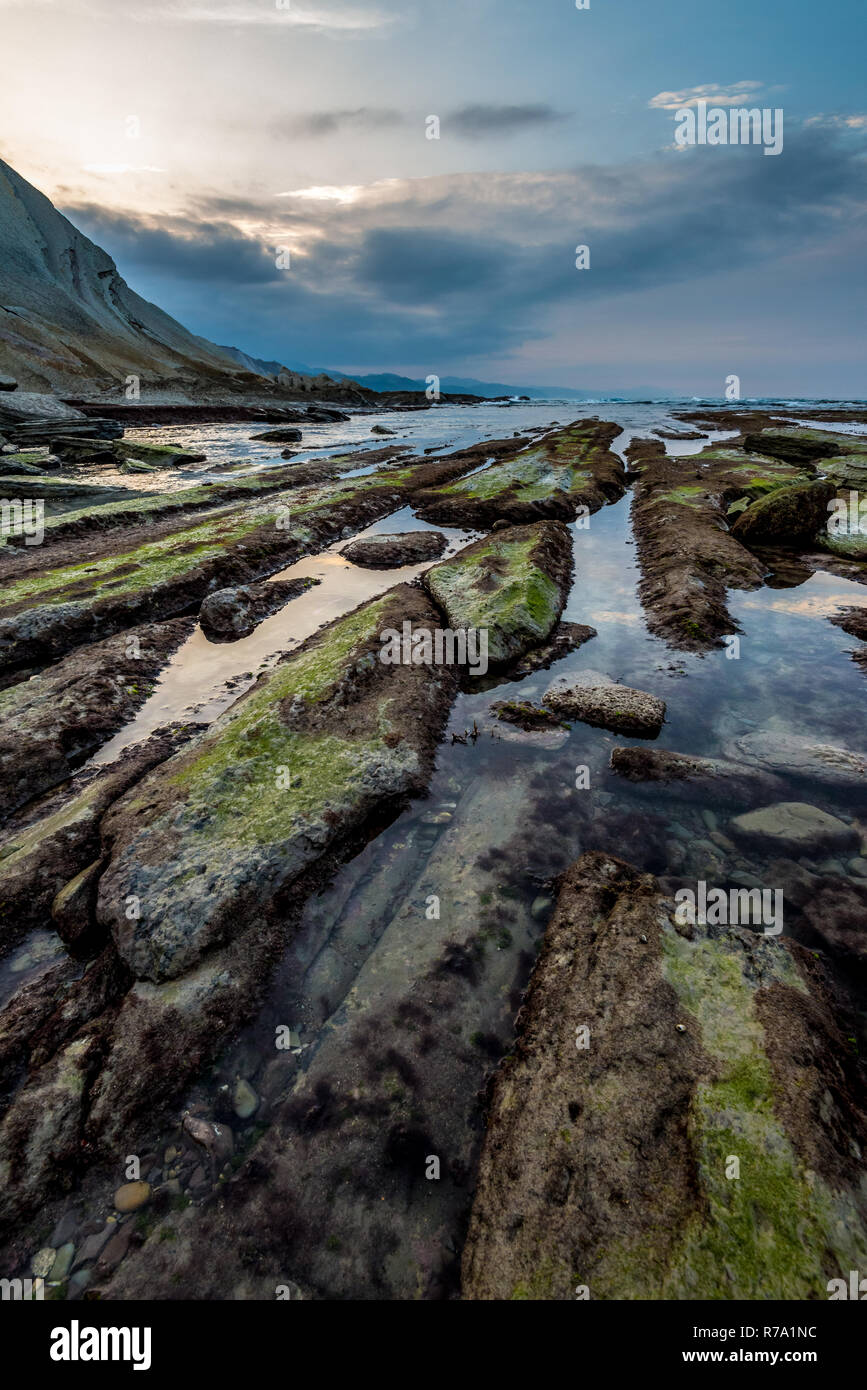 Flysch sediment hi-res stock photography and images - Alamy