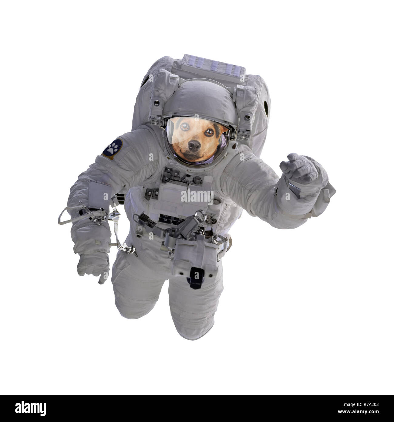 Nasa astronaut Cut Out Stock Images & Pictures - Alamy