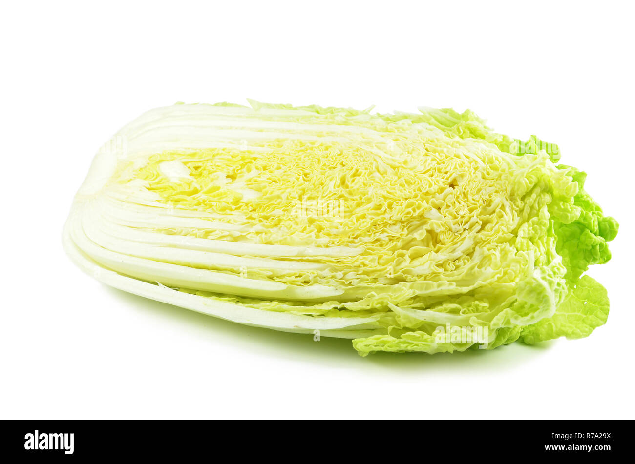 Napa cabbage isolated Stock Photo - Alamy