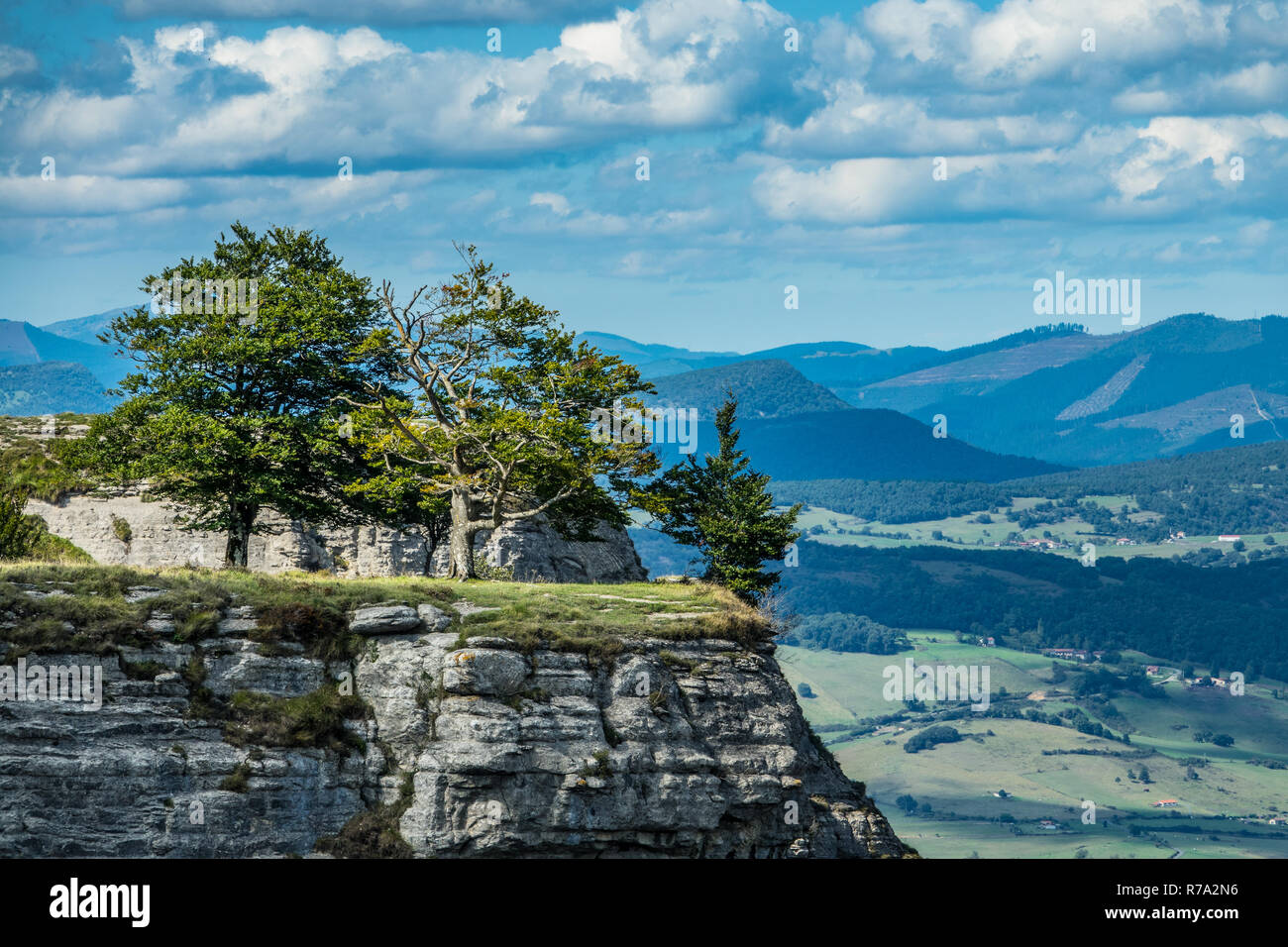 Trees over the cliff in Orduna, Spain Stock Photo - Alamy