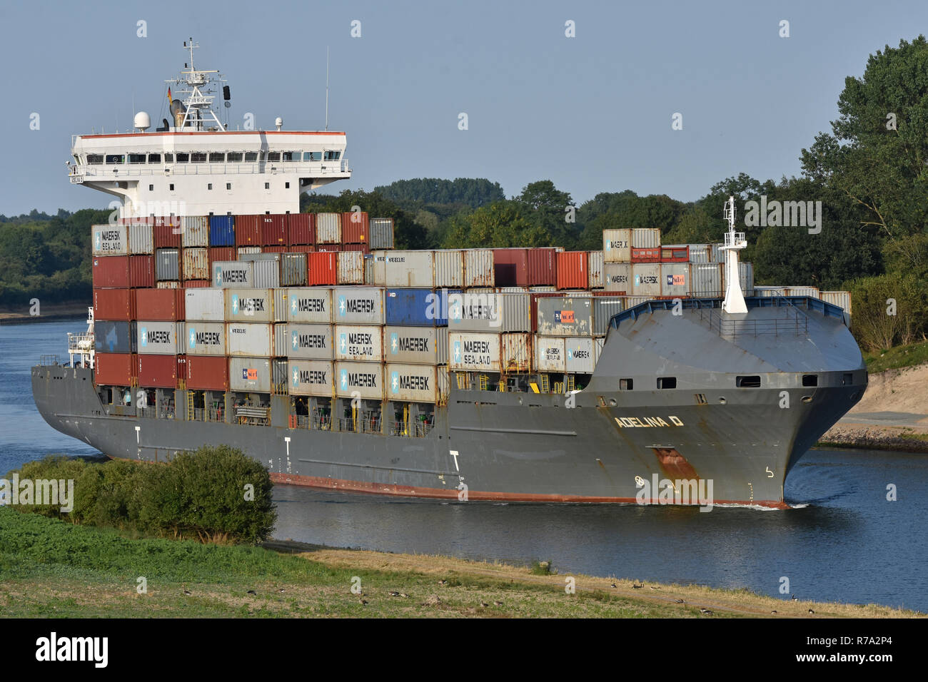 Containerfeeder Adelina D Stock Photo - Alamy