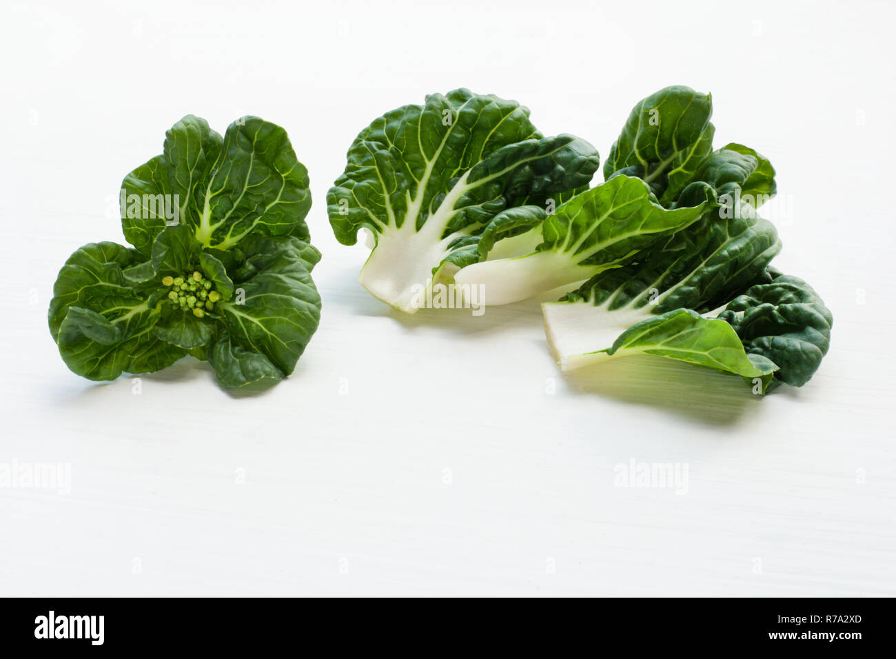 Baby pak choi on white background Stock Photo - Alamy