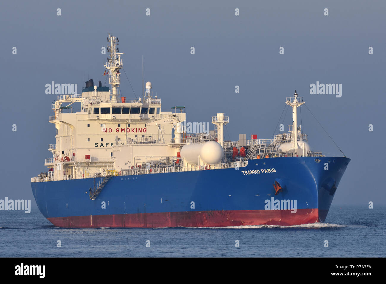 Trammo Logo Vessel TRAMMO PARIS (LPG Tanker) IMO 9792515, MMSI