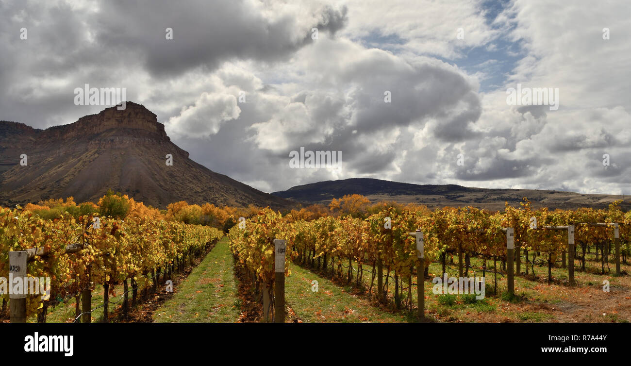 Canyon wind cellars hi-res stock photography and images - Alamy