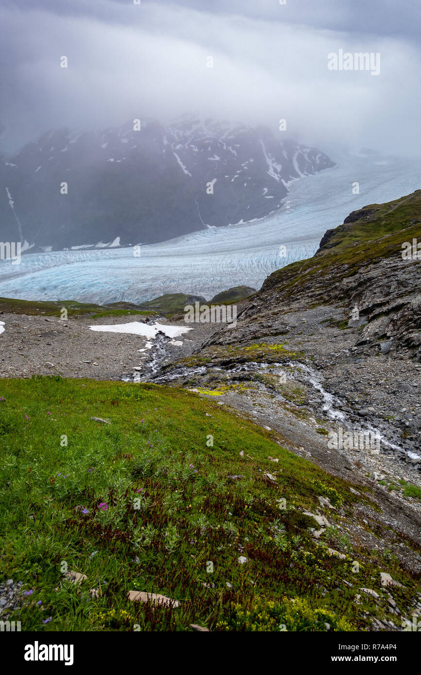 Exit glacier alaska hi-res stock photography and images - Alamy