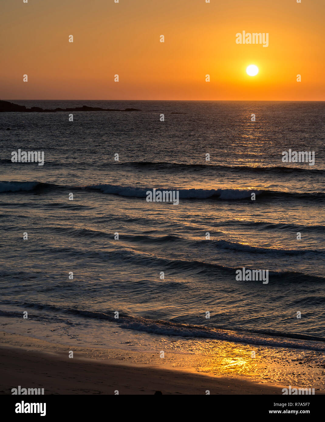 Golden tate hi-res stock photography and images - Alamy